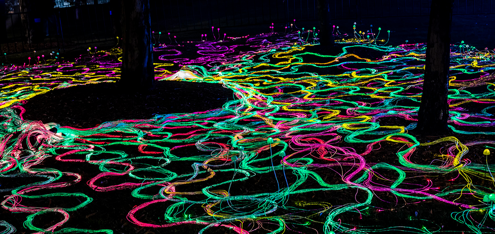 Mycelium Network | Vivid Sydney